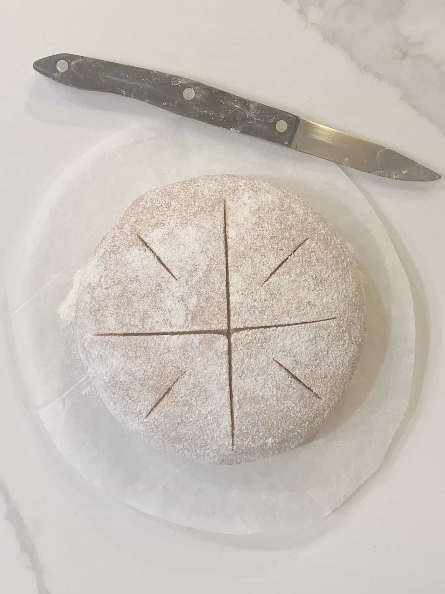 AIP Sourdough Bread (paleo, grain-free, vegan) • Heal Me Delicious